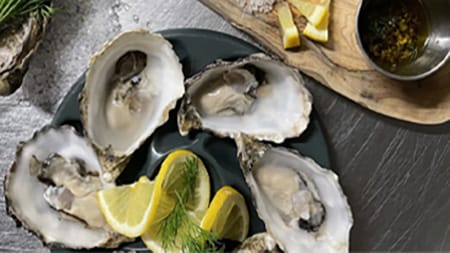 Sligo Oyster Experience | Sligo Oysters | Where to eat in Sligo